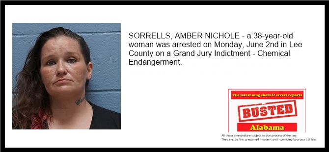 Lee County – bustedalabama.com