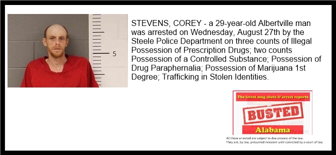 St Clair County – bustedalabama.com