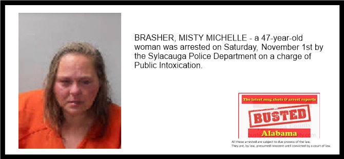 Sylacauga – bustedalabama.com